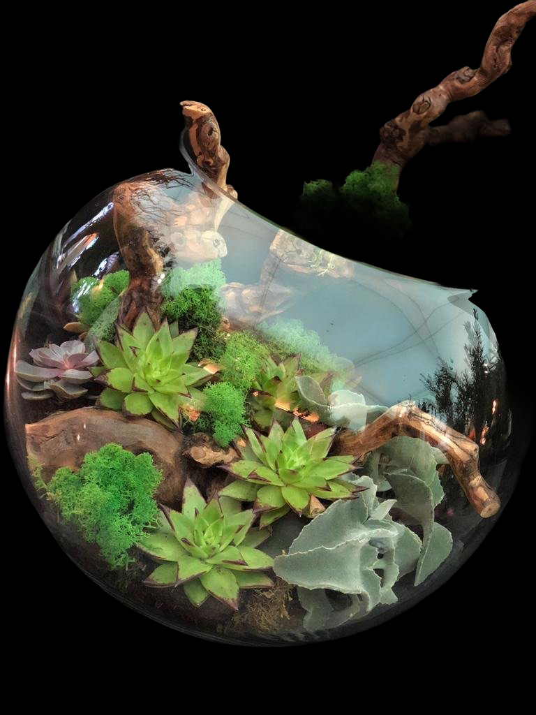 Terare – Inside Flowers and Events - Buy Online Unique Flower ...